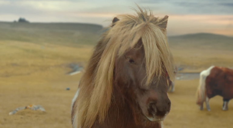 Acest ponei te va face sa dansezi! Uite cat de bine executa miscarile ...