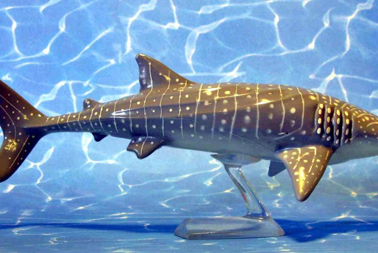 Scandal in jurul mortii unuia dintre cei mai mari rechini din lume