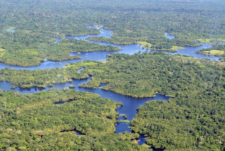 Descoperire incredibilă în zona Amazonului, 400 specii noi