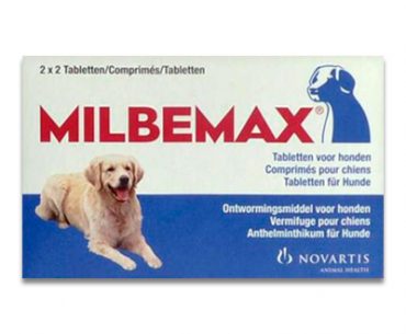 MEDICAMENTE ȘI PROSPECTE - Animal Zoo