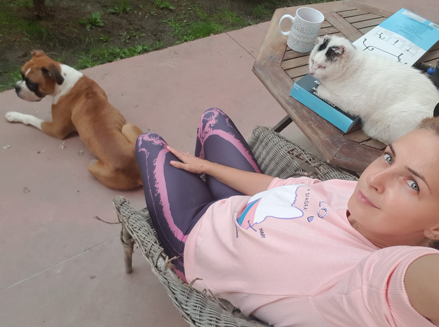 Îl mai știți pe TIGER, pisoiul care a supraviețuit CINCI ANI pe câmp ...