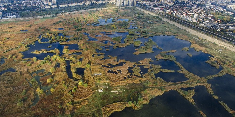 "Parcul Natural Văcăreşti", repusă în drepturi! Ce va face ministrul ...