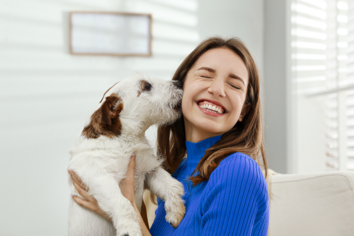 Cât de comun este să deții un câine?