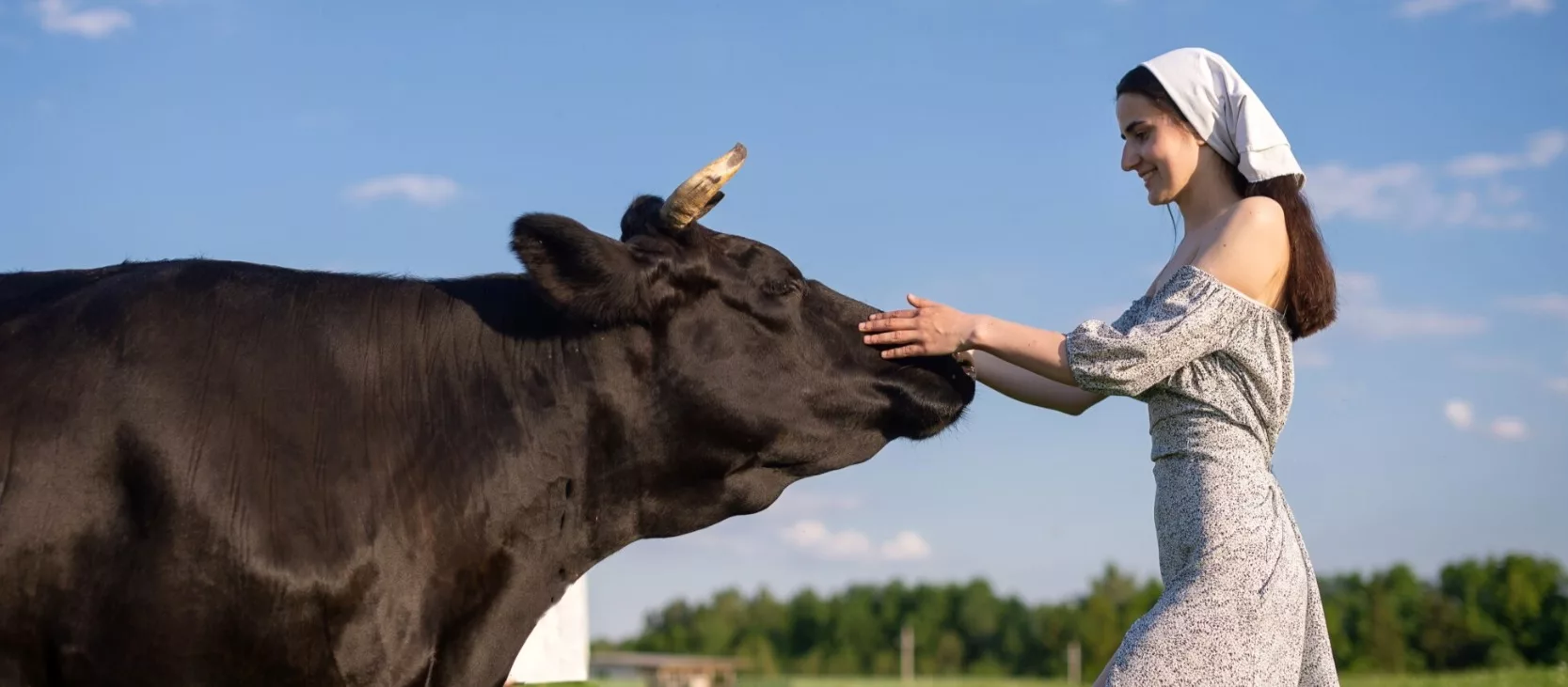 Experții explică de ce ar trebui să îmbrățișezi o vacă