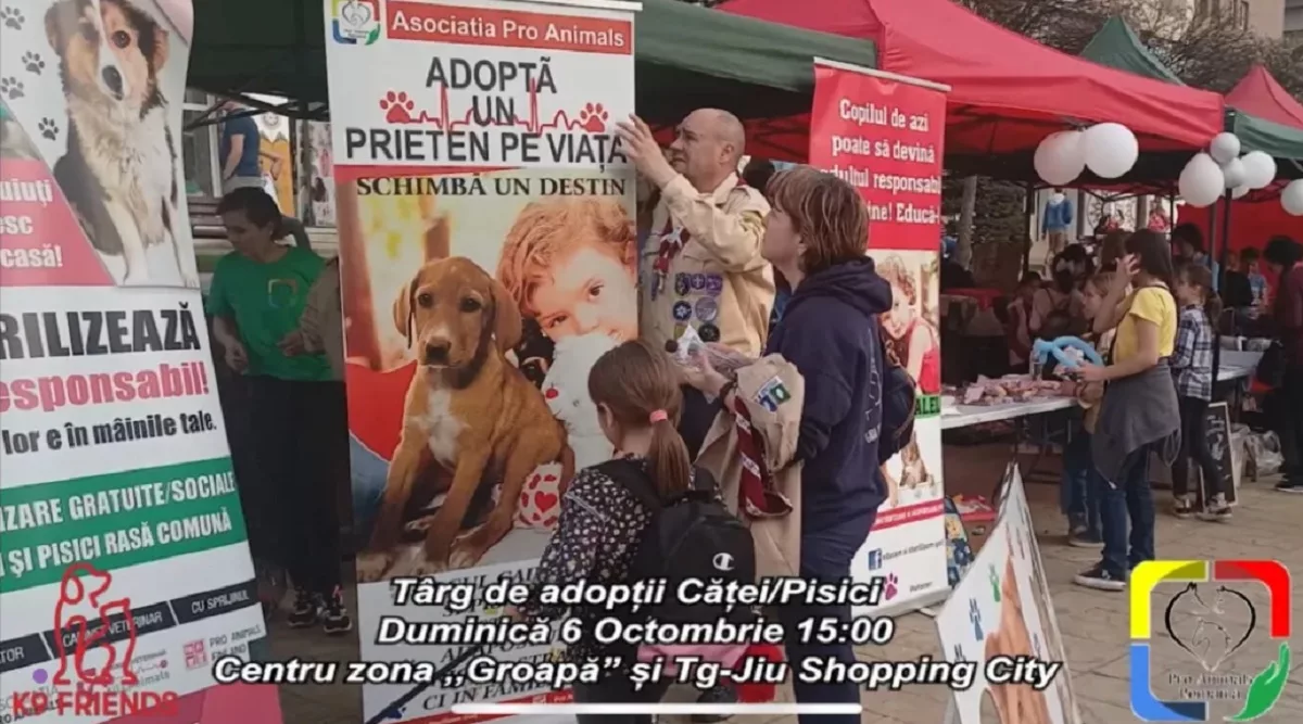 Târgul Jiu: Târg de adopții de câini și pisici